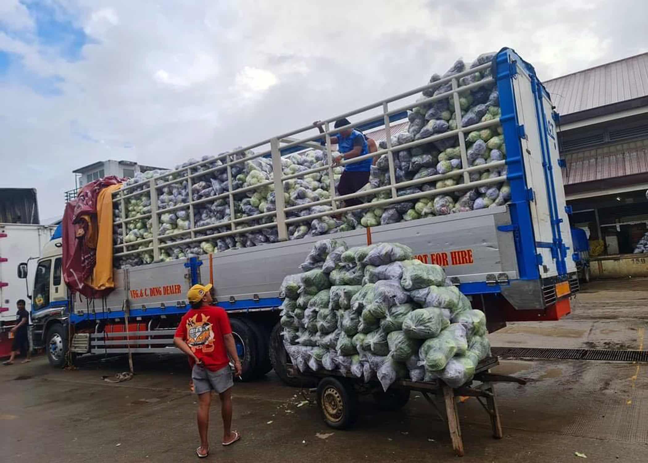 Yap rescue buys 100 tons of veggies, urges passage of HB 9889 - North ...