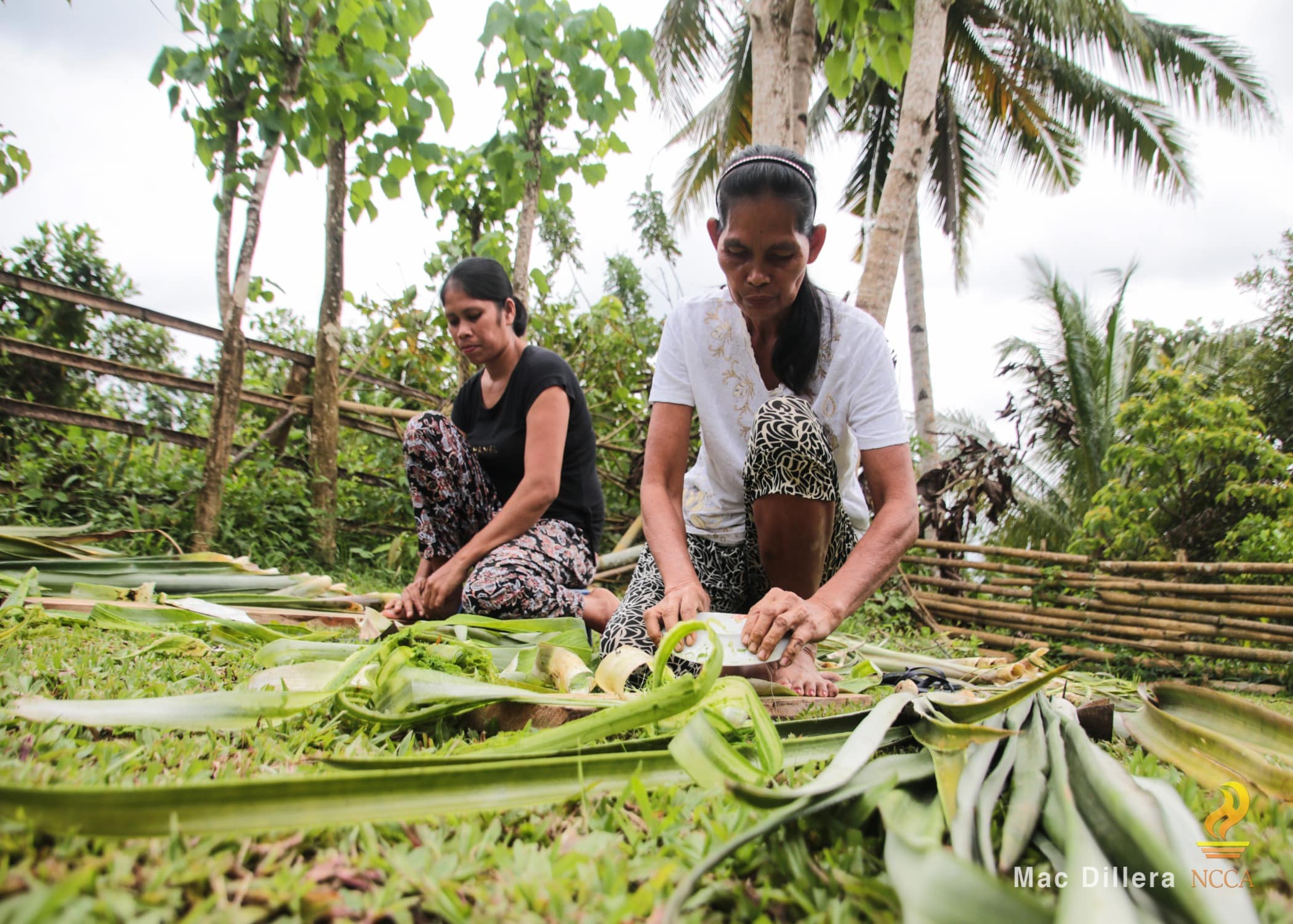 NCCA calendar features UNESCO-inscribed piña weaving - North Luzon Monitor