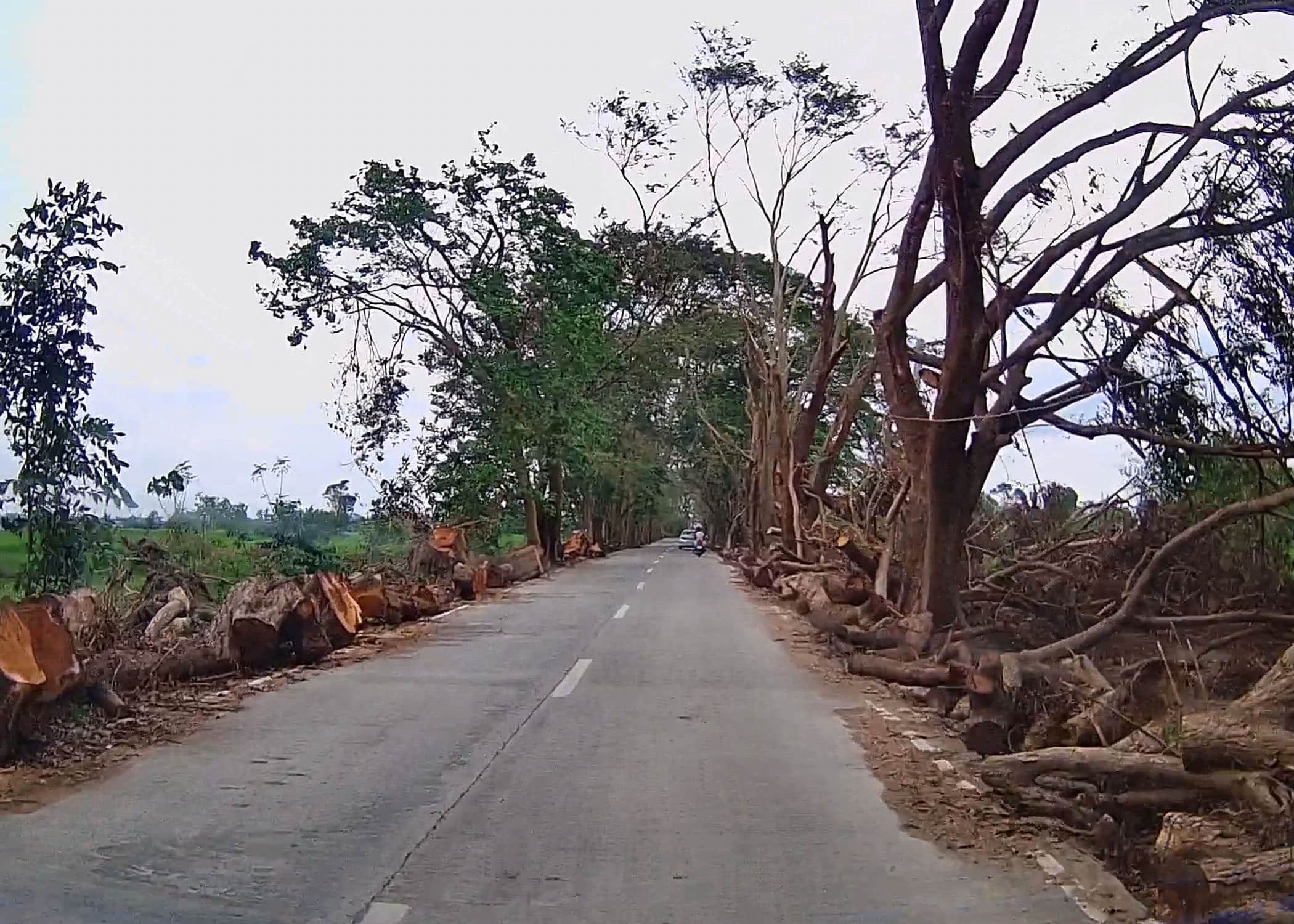 La Union posts P6-B damages from ‘Emong’ - North Luzon Monitor